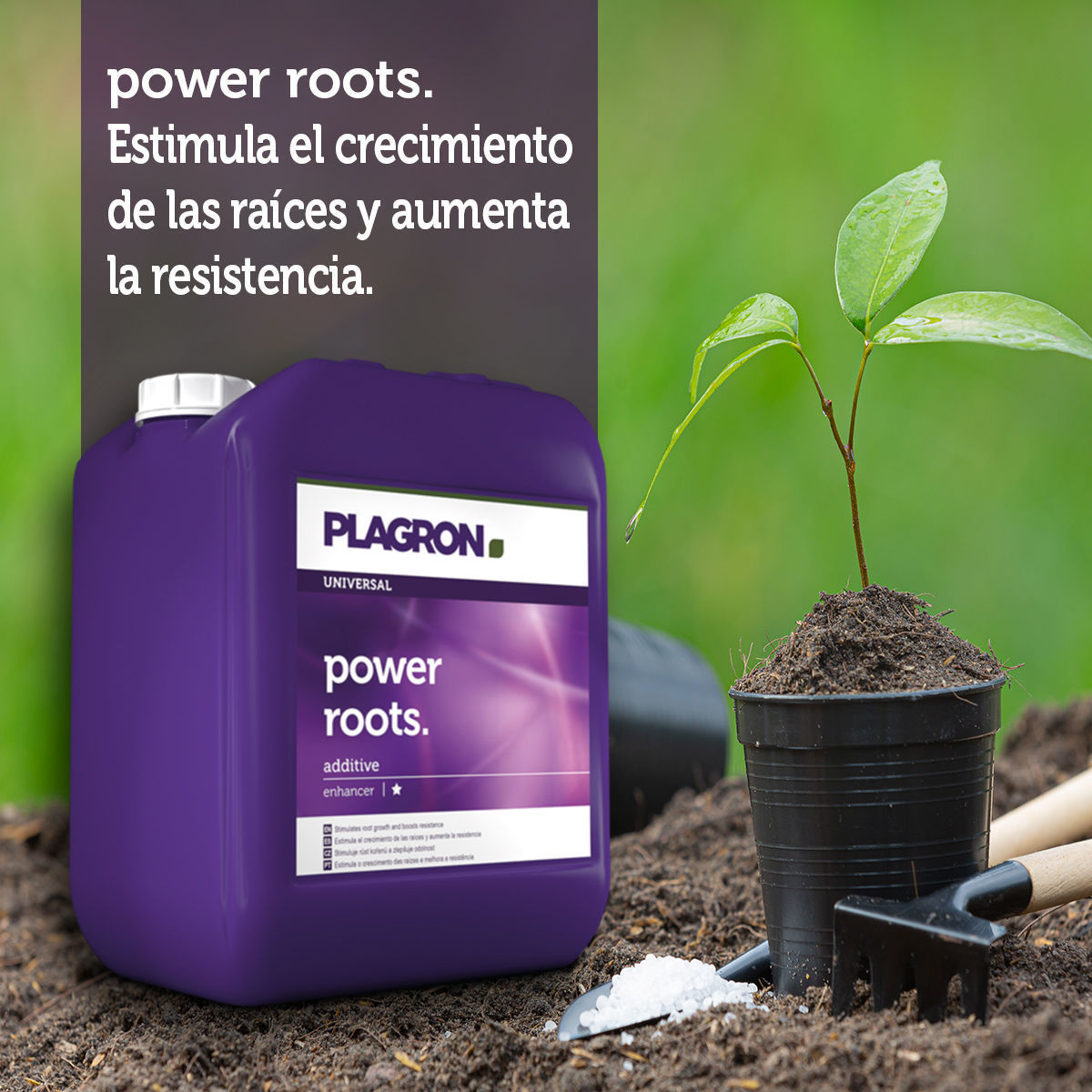 Marley's Planet Grow Shop|power roots